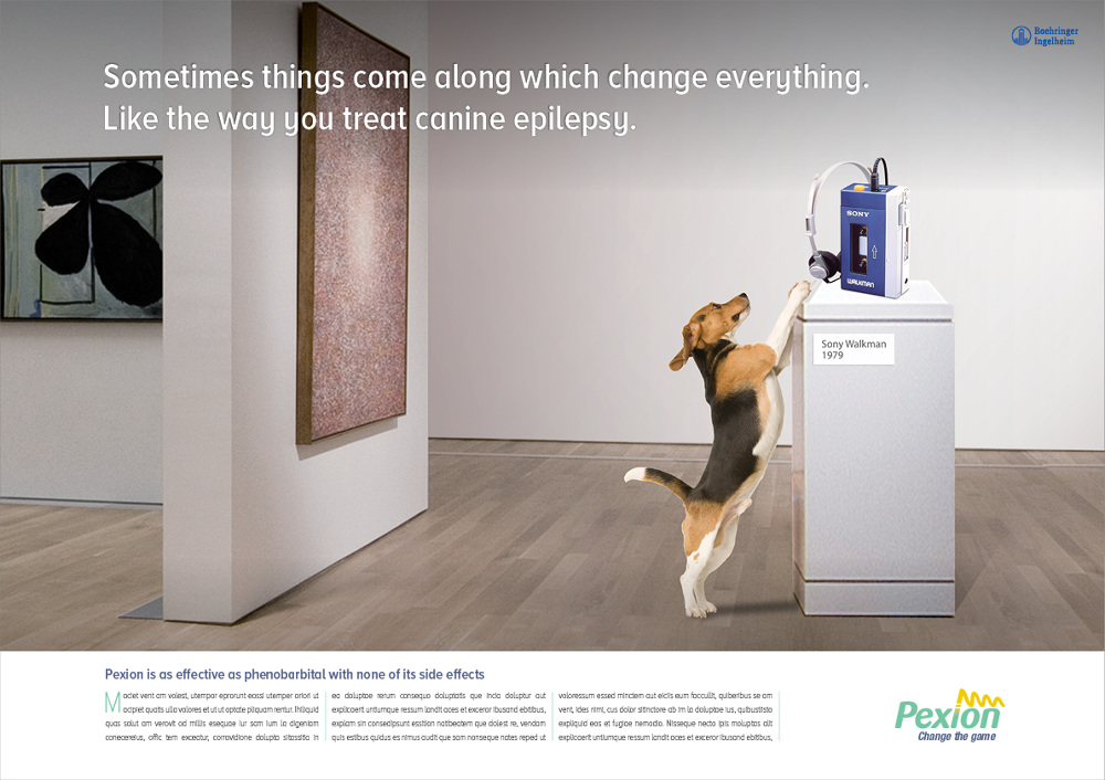 Pexion pitch adcepts - Hamish Macaulay