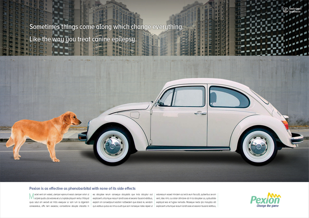 Pexion pitch adcepts - Hamish Macaulay