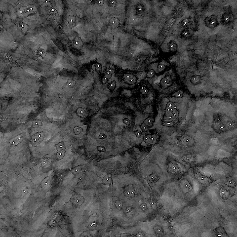 spitted space - Timo Heino