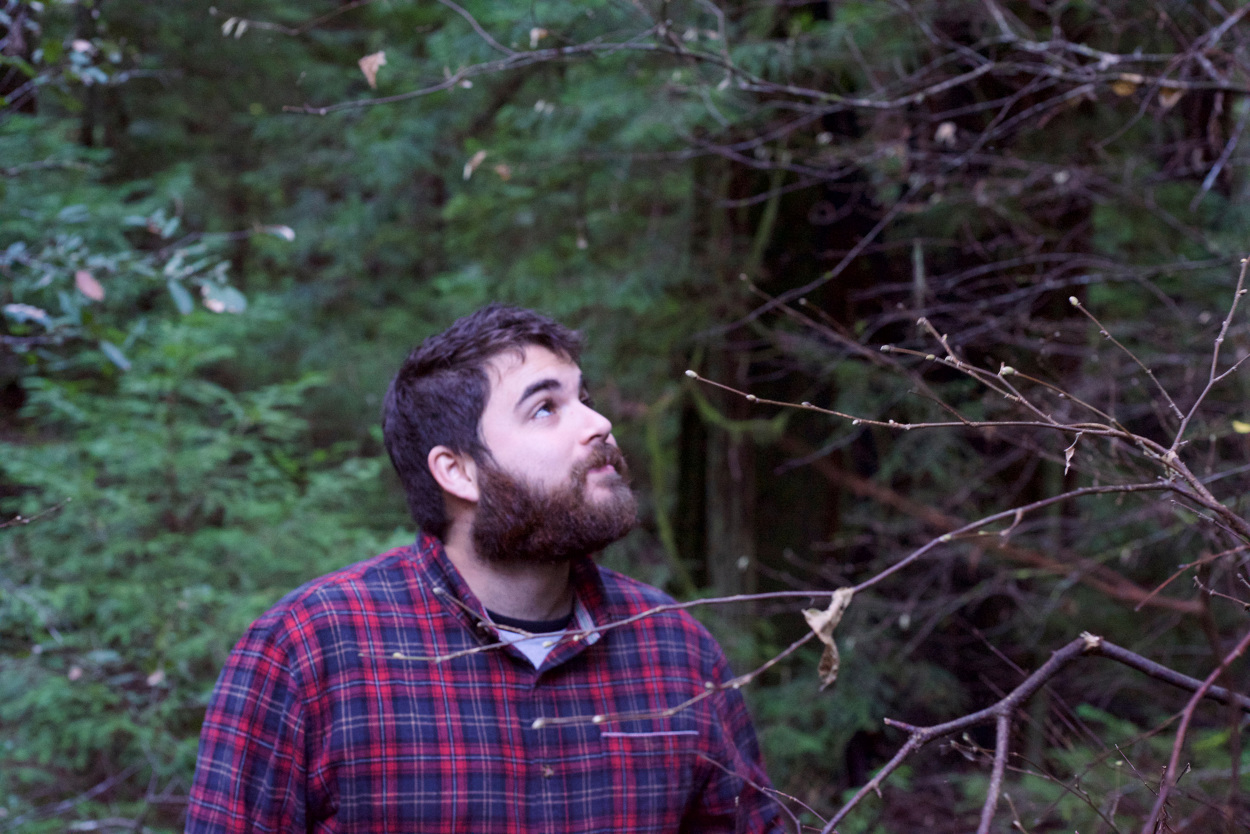 Chris and the Redwoods - Anya Rossa-Quade