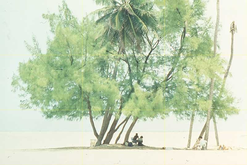 Human Landscape - Max Steele Photography