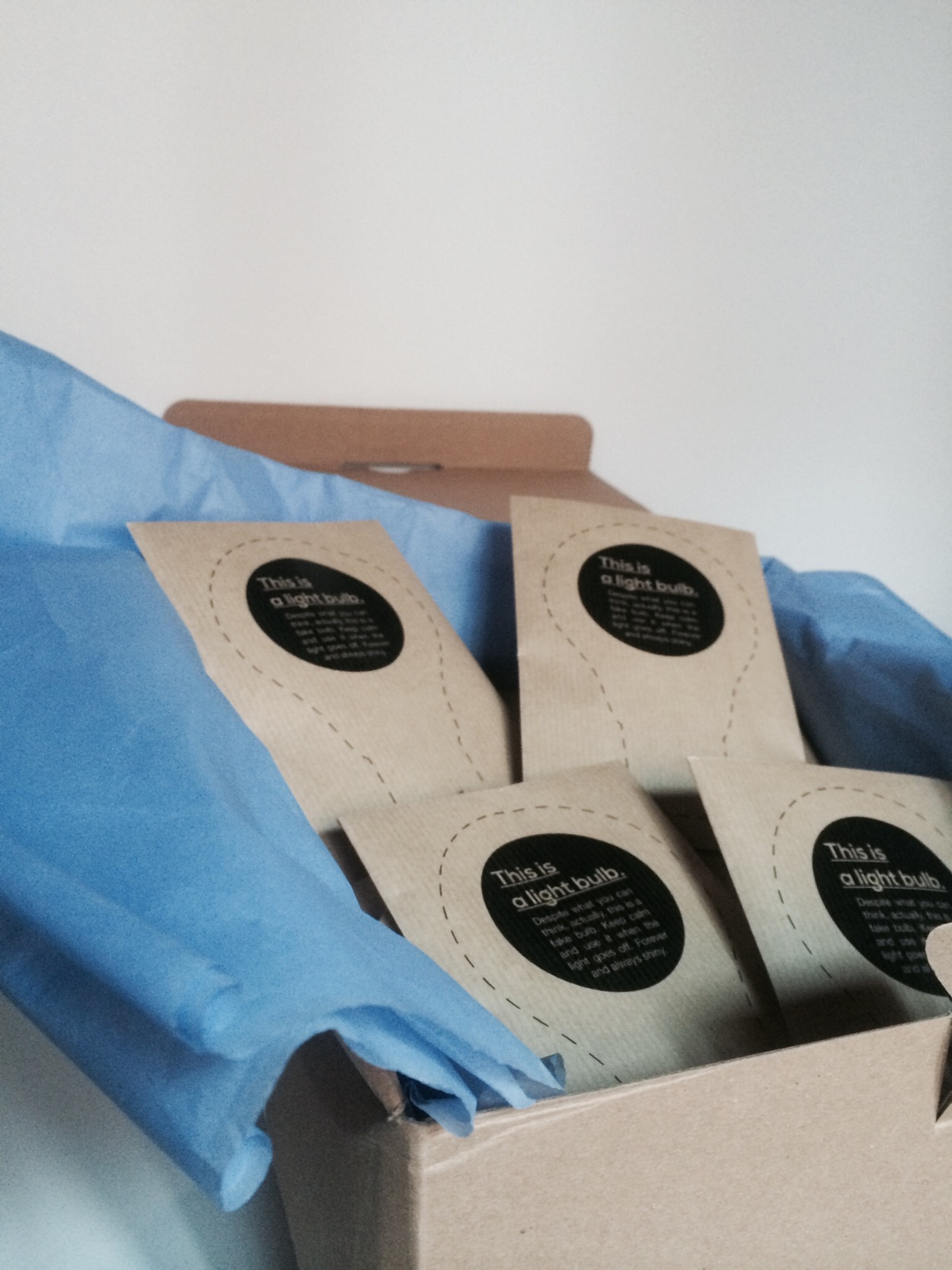 The fake light bulb - Designed by Iratxe