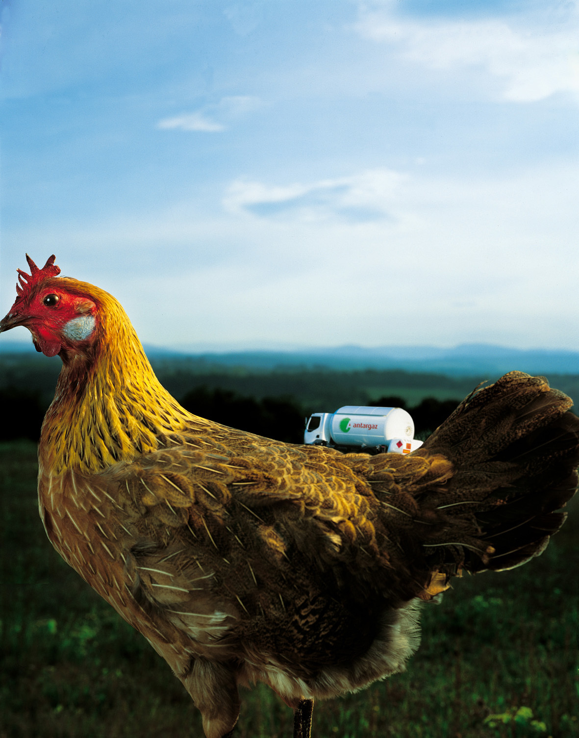 Publicis - Peter Winfield