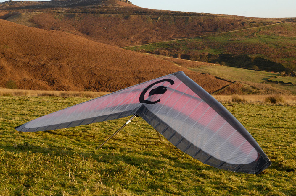 Avian Gliders - Nick Lukes