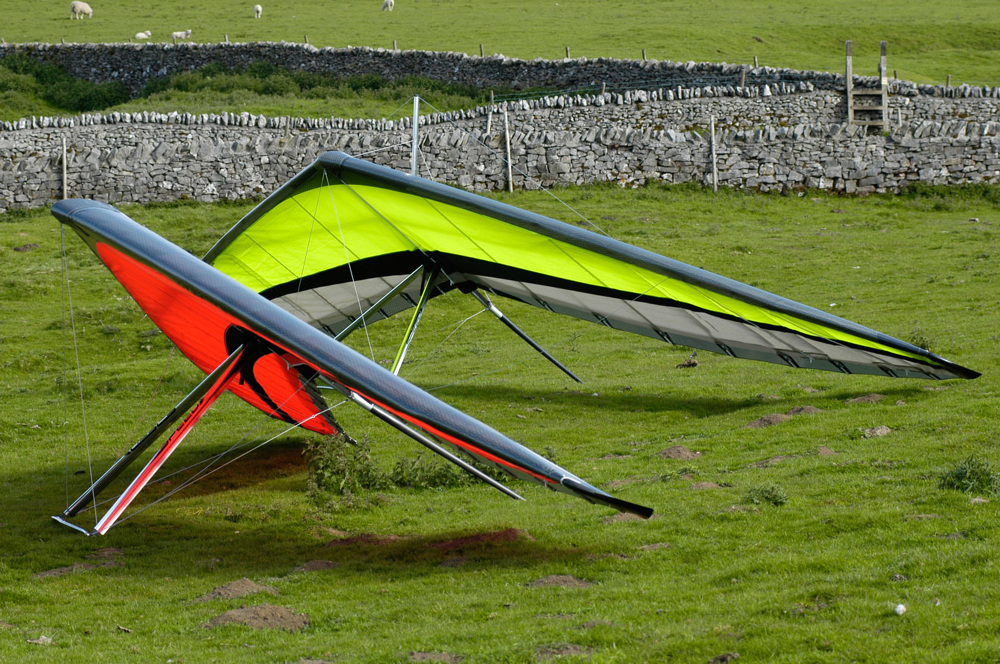 Avian Gliders - Nick Lukes