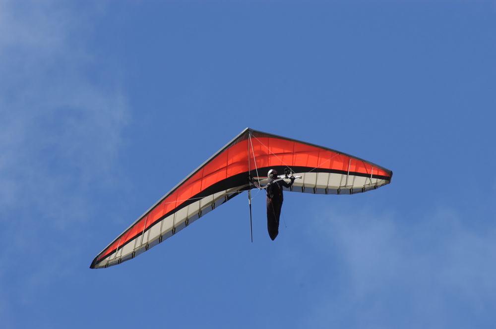 Avian Gliders - Nick Lukes