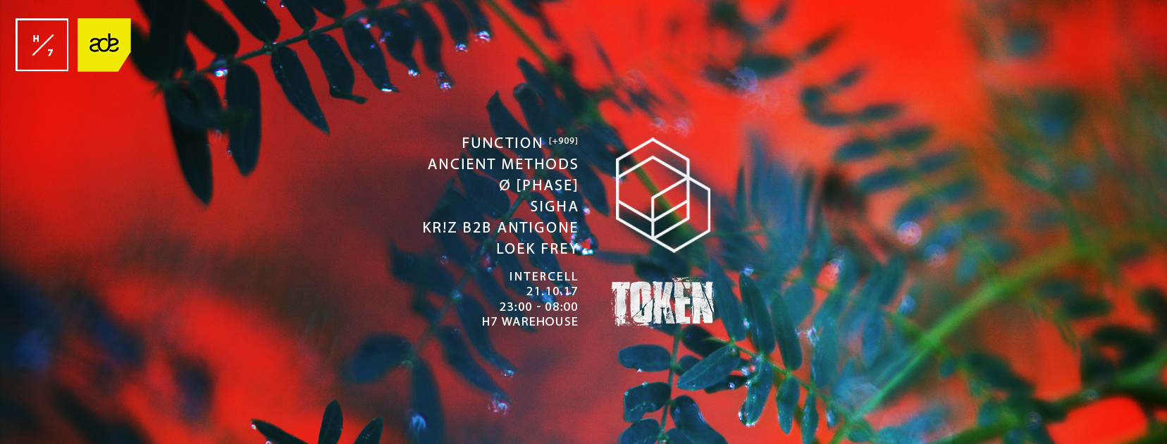 intercell - Falco Heres