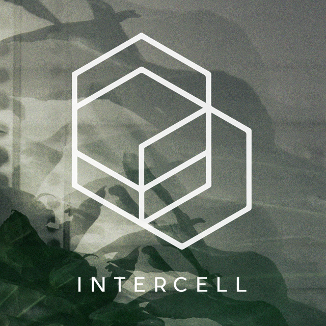 intercell - Falco Heres