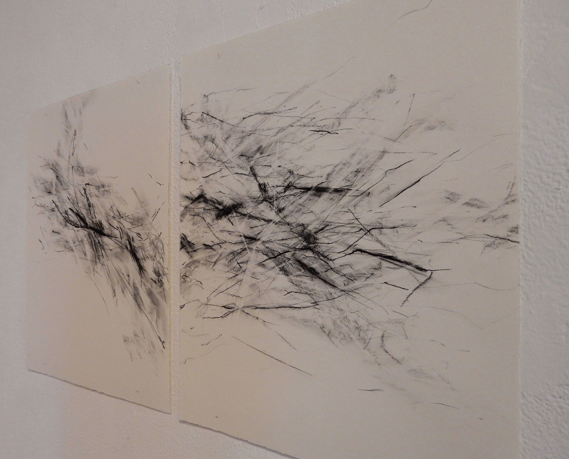 Mundos del aire. 2016 - Manuela Armand