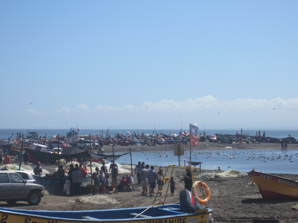 CALETA DE PESCADORES. CHILE - Cat Lindsay Rueda