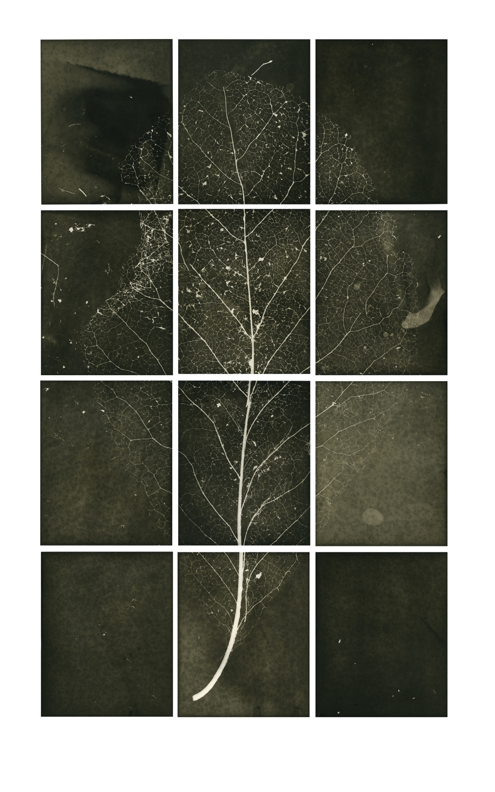 WILLIAM ARNOLD - Making Time Photography Collective