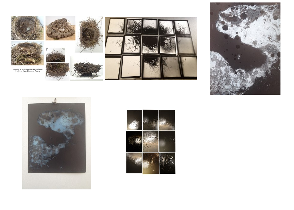 HANNAH GUY - Making Time Photography Collective