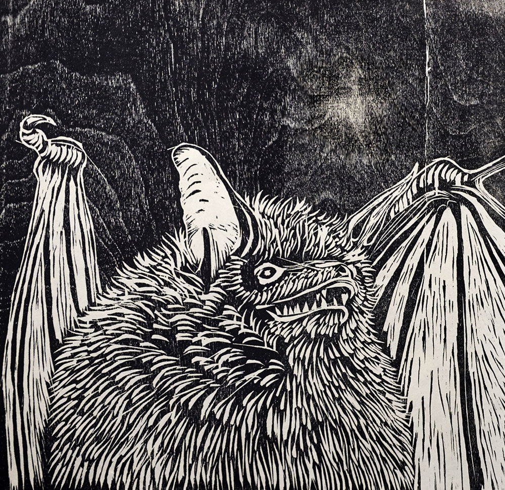 Bat-bird - Hermit Magazine