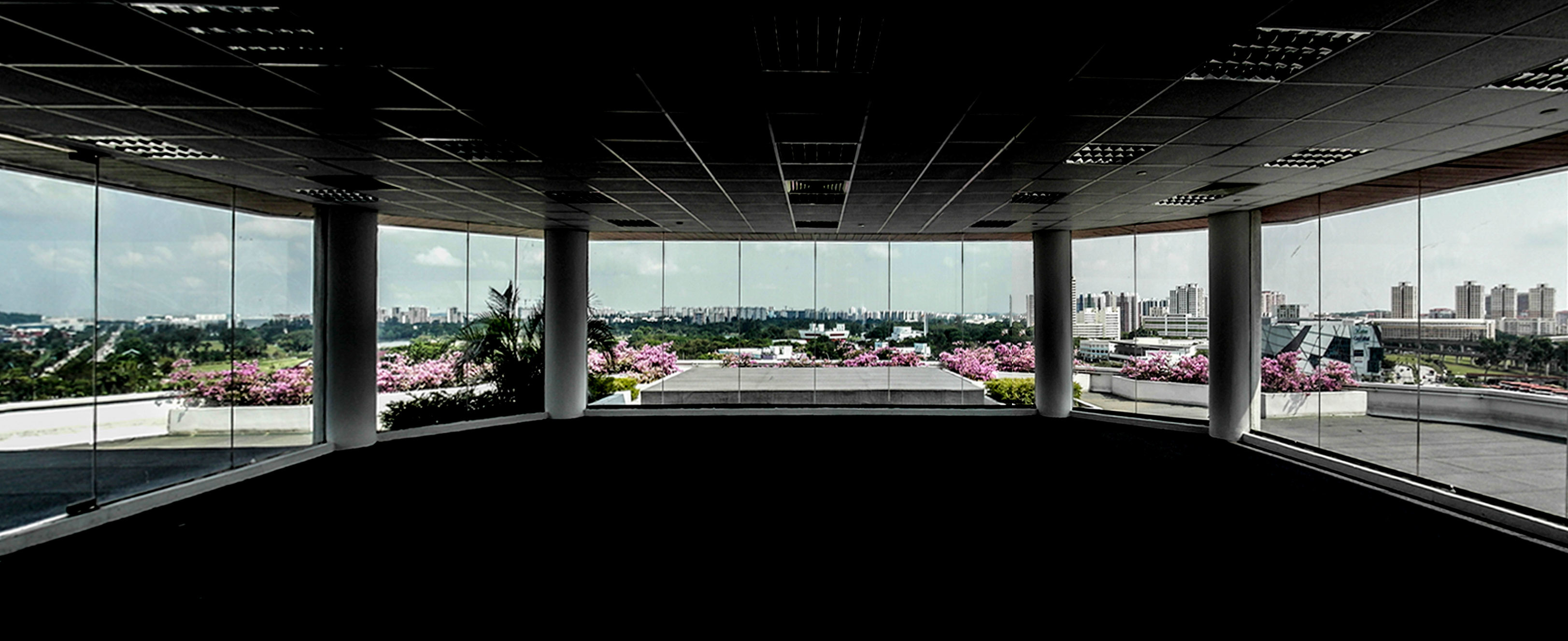 Singapore: Revisiting Modernism - Patricia Chia