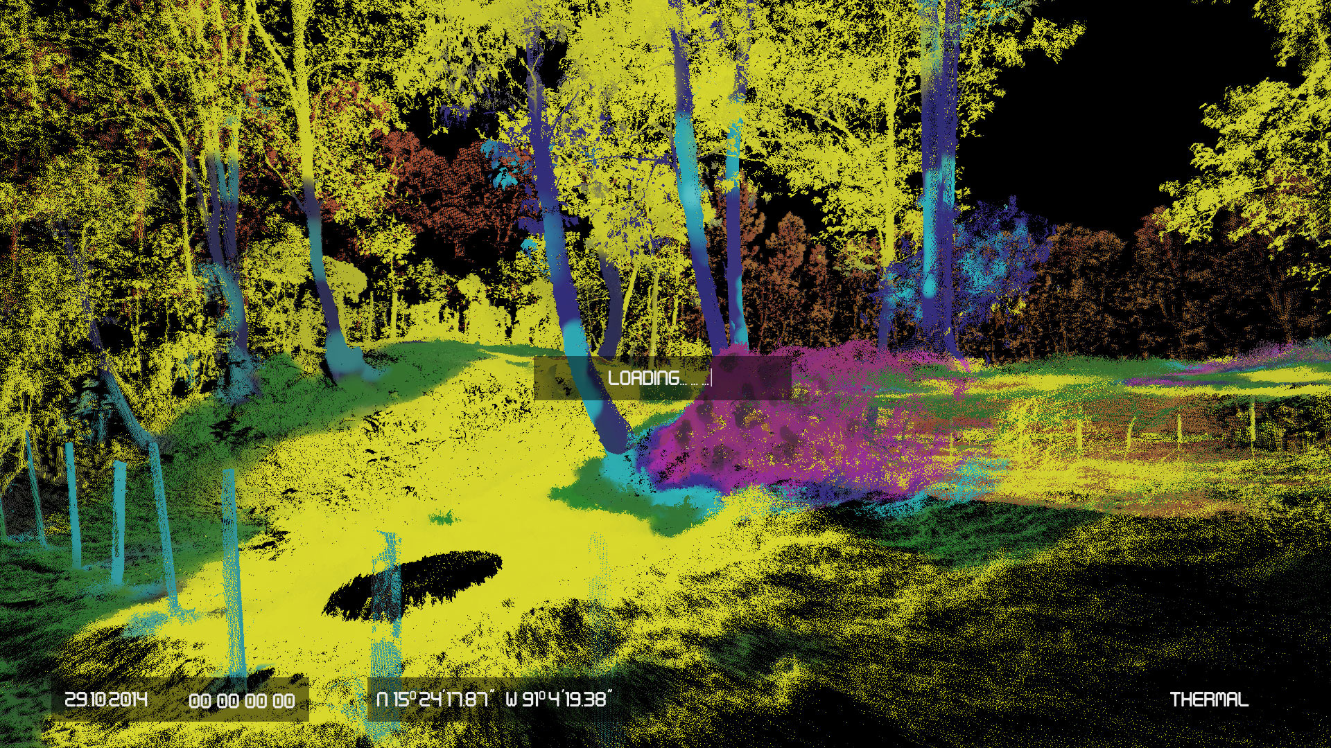 Reclaiming Culture & Identity - Patricia Chia
