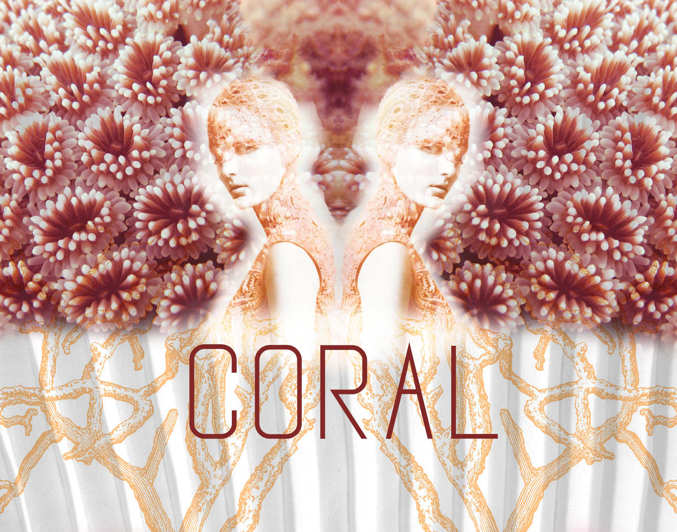 Coral - Emelie Bergh
