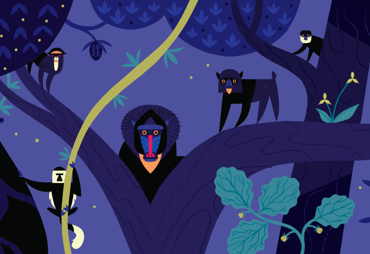 The Mandrill King - Alexander Vidal Illustration