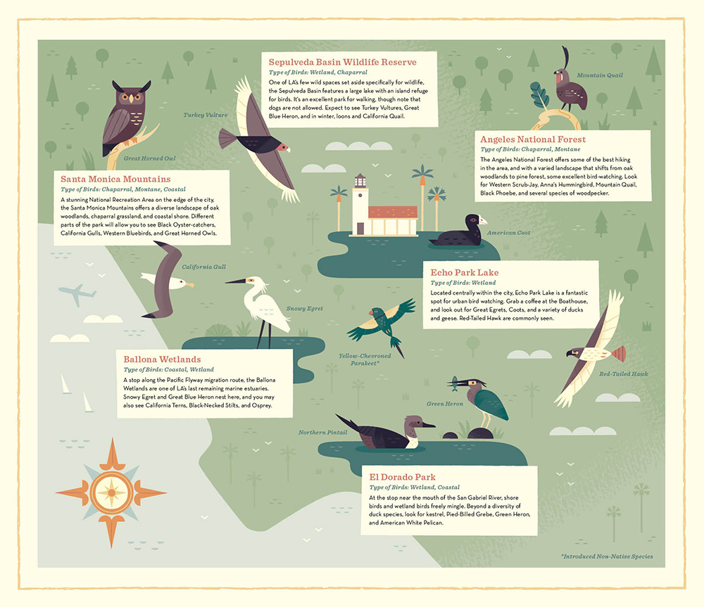 Birds of Los Angeles - Alexander Vidal Illustration