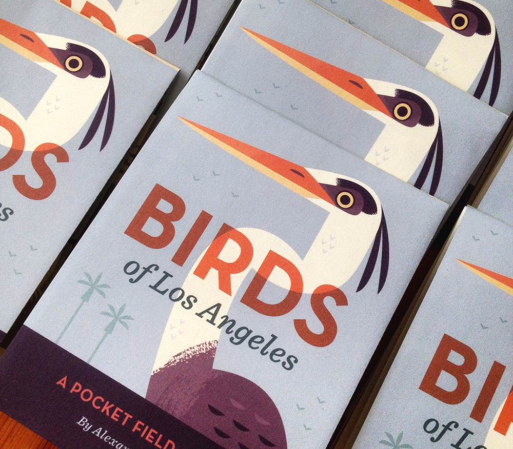 Birds of Los Angeles - Alexander Vidal Illustration