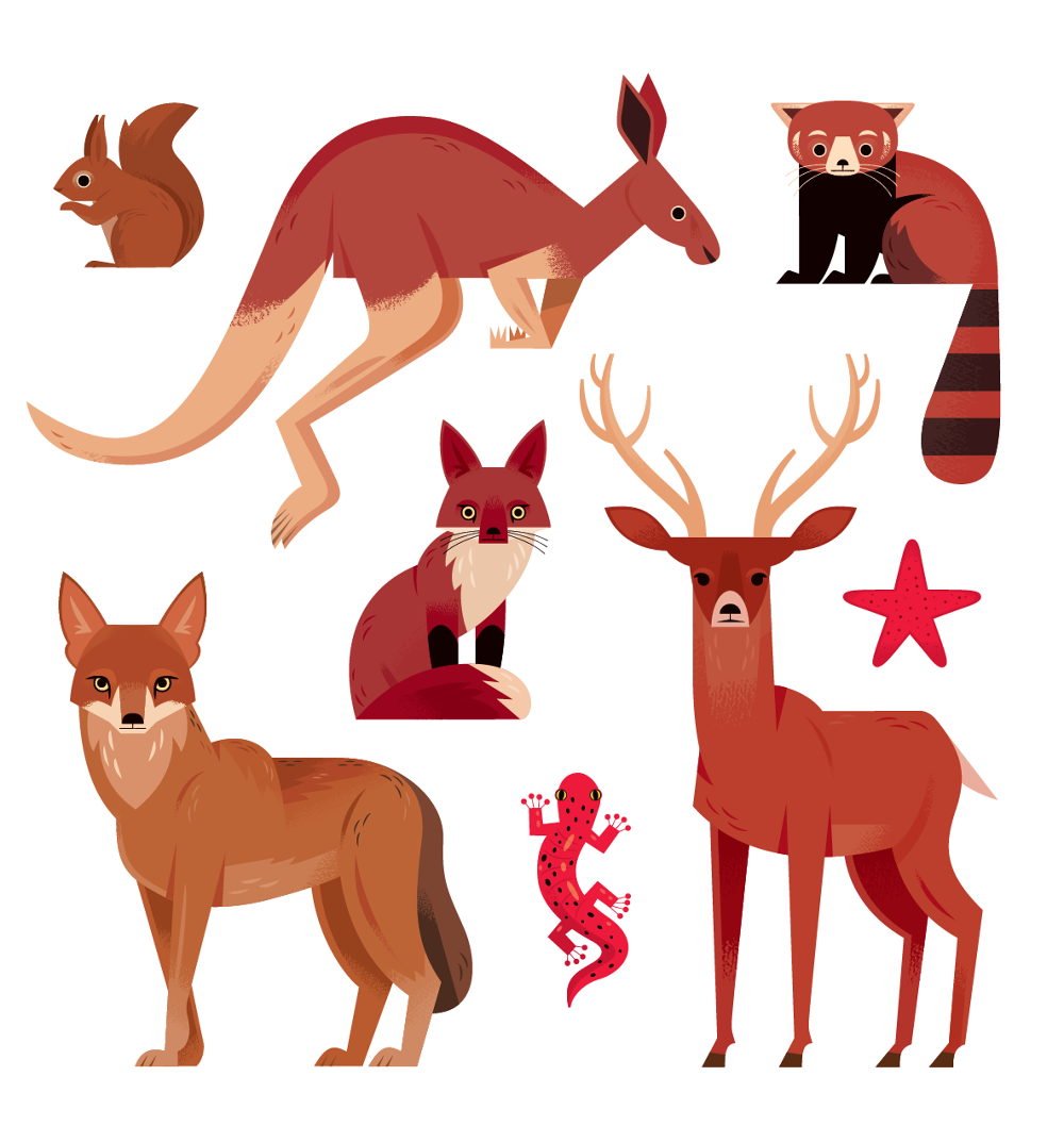 Red - Alexander Vidal Illustration