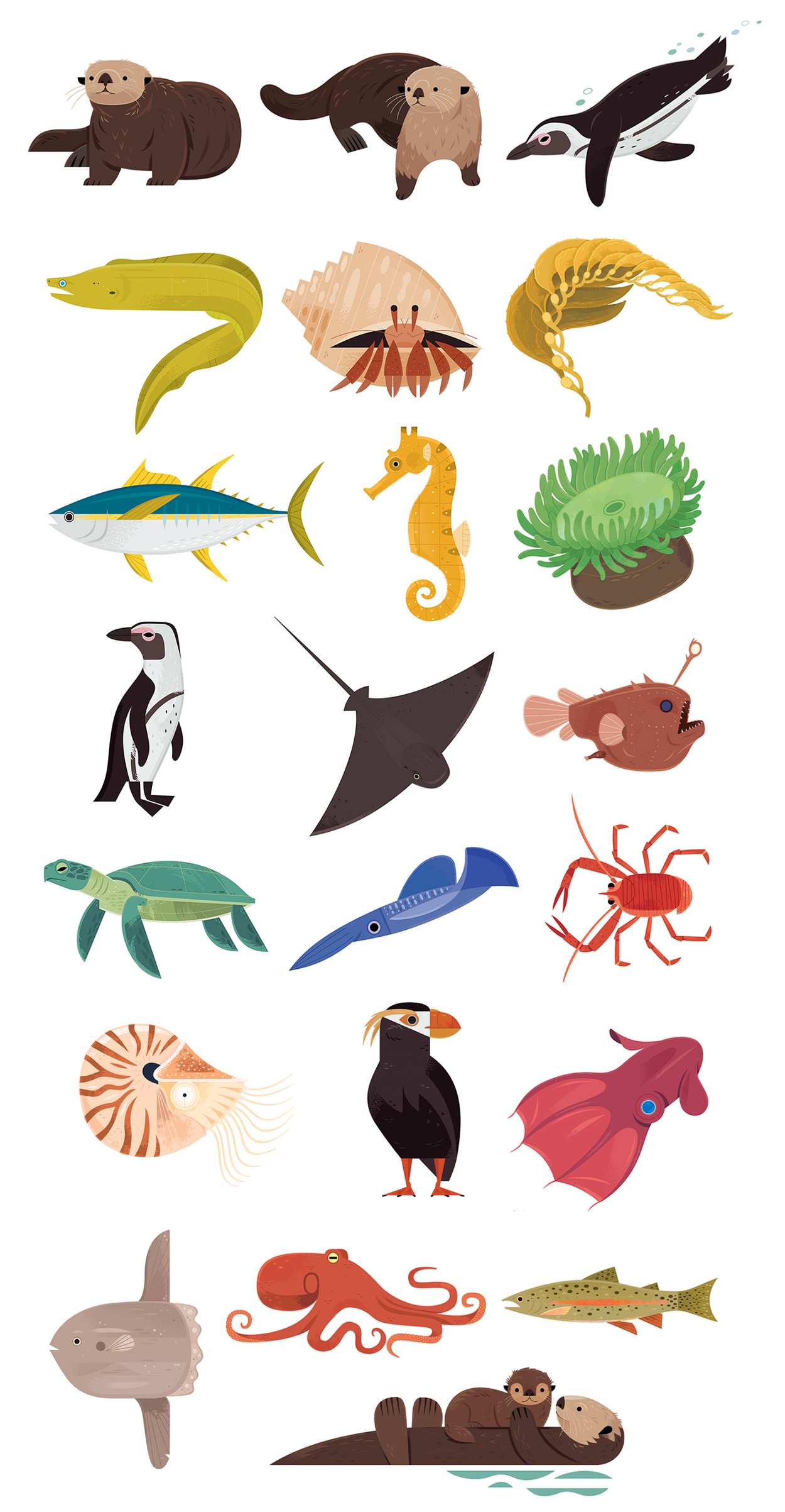 Monterey Bay Icons - Alexander Vidal Illustration
