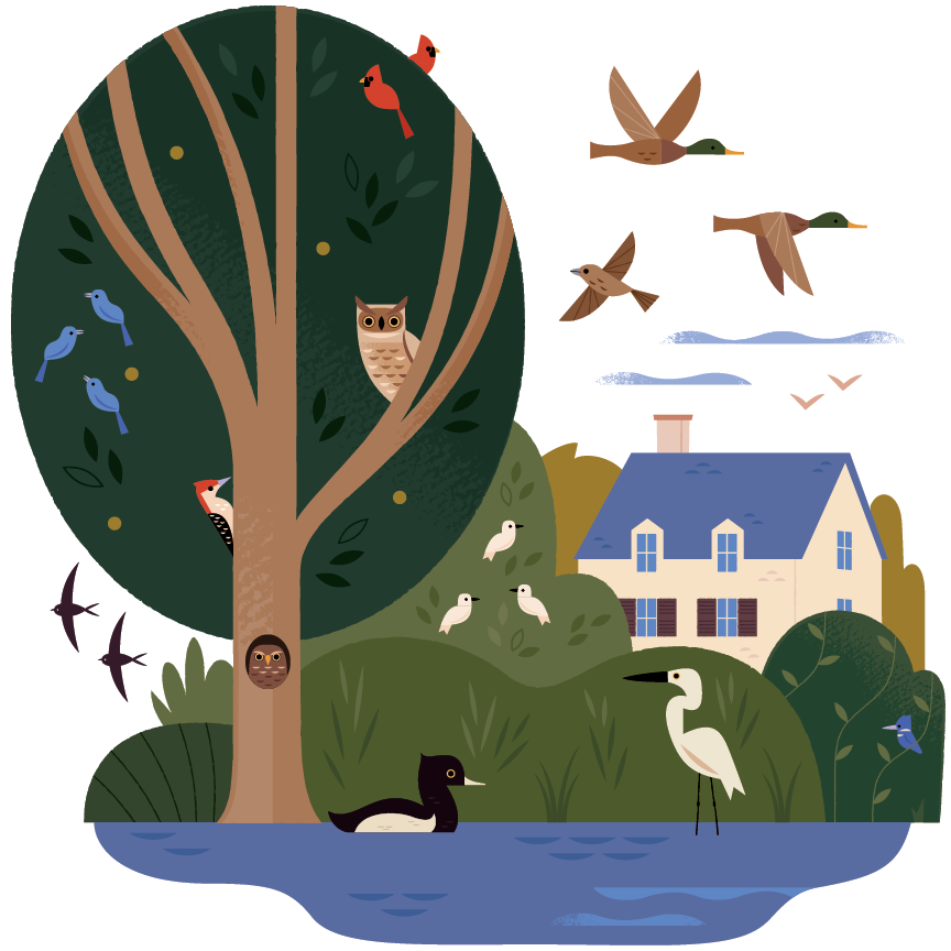 I Love Birds! - Alexander Vidal Illustration