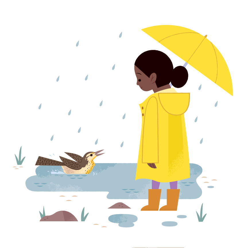 I Love Birds! - Alexander Vidal Illustration