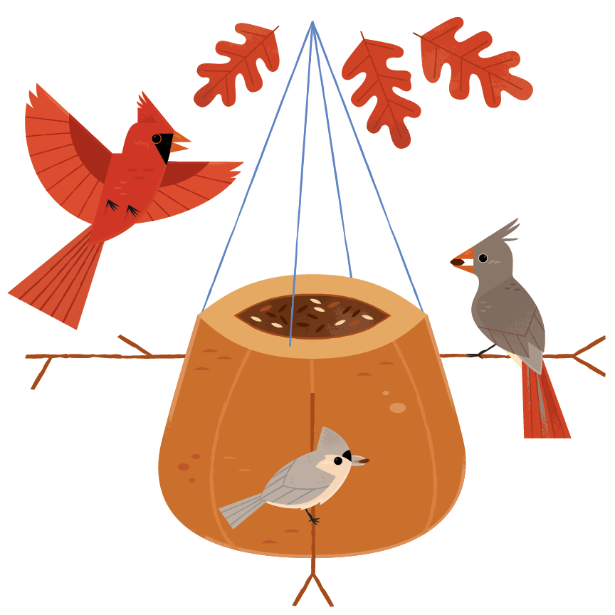 I Love Birds! - Alexander Vidal Illustration