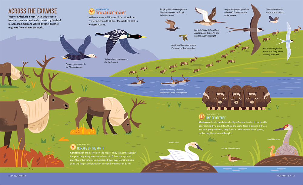 Wilds of the United States - Alexander Vidal Illustration