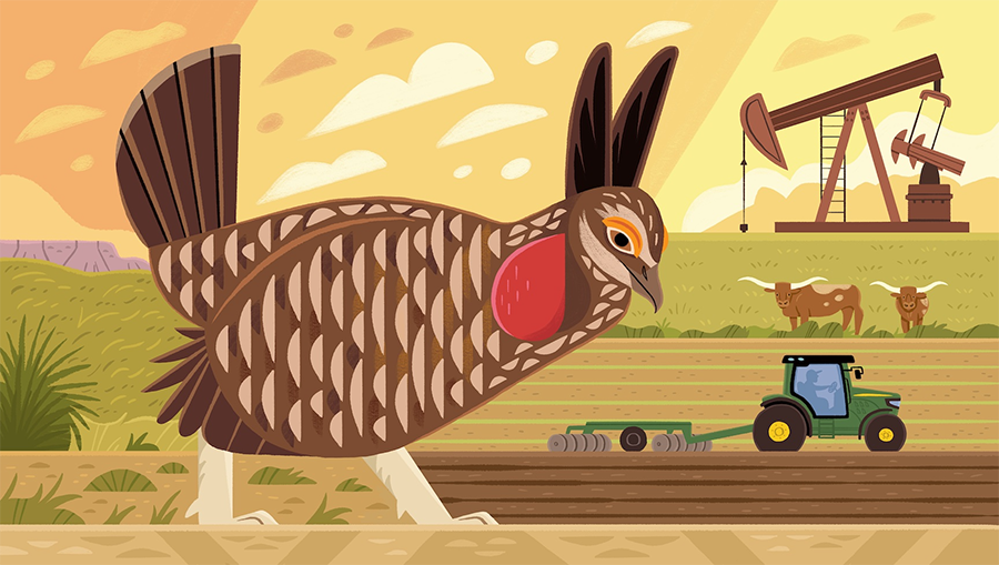 50 Years of the Endangered Species Act - Alexander Vidal Illustration