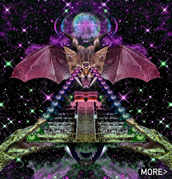 Psychedelic Cats - Meagan Kay Portfolio