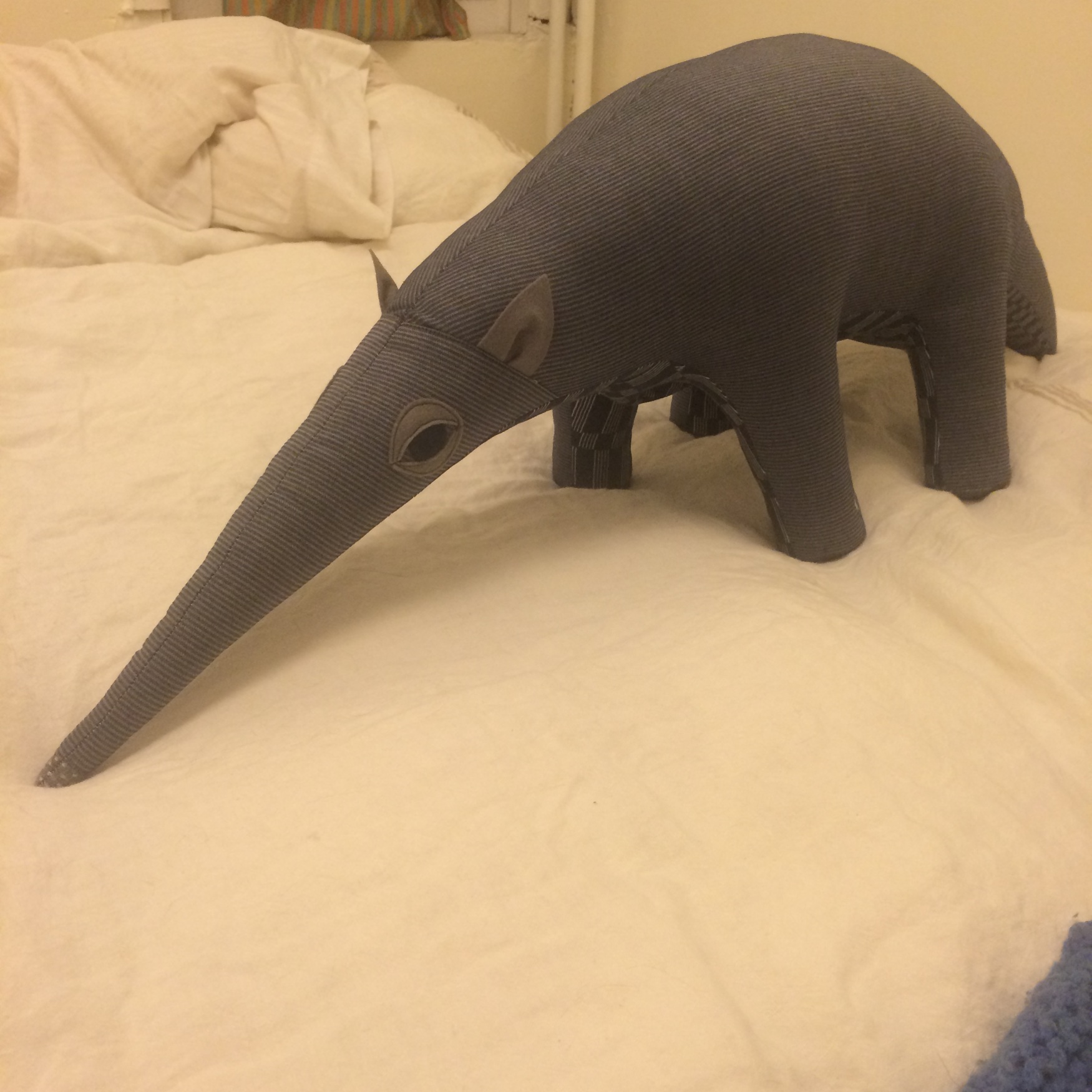 Anteater - Nicola Gardiner