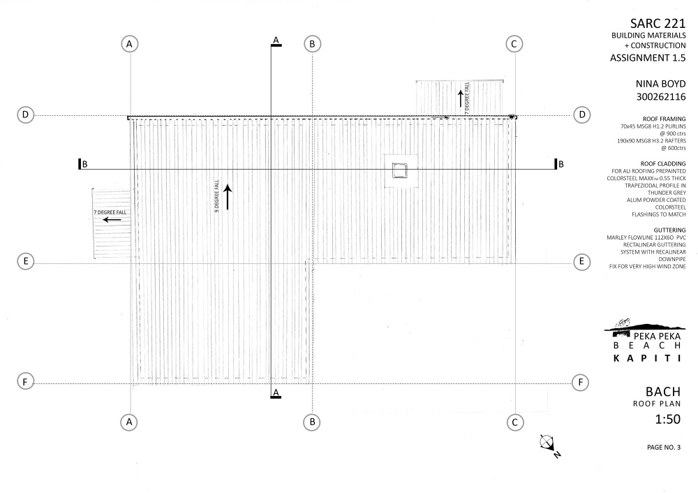 Pekapeka House ~ Construction - nina boyd
