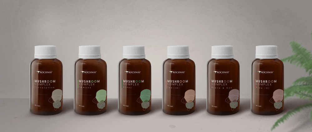 MUSHROOM COMPLEX - PAOLA SARMIENTO PORTFOLIO