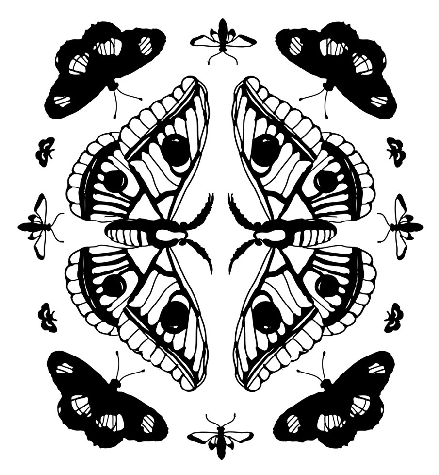 Moth Patterns - Fledgling Studio