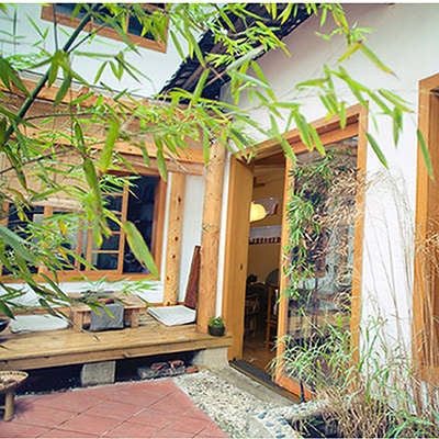 Three Trees Tea House - Shishu