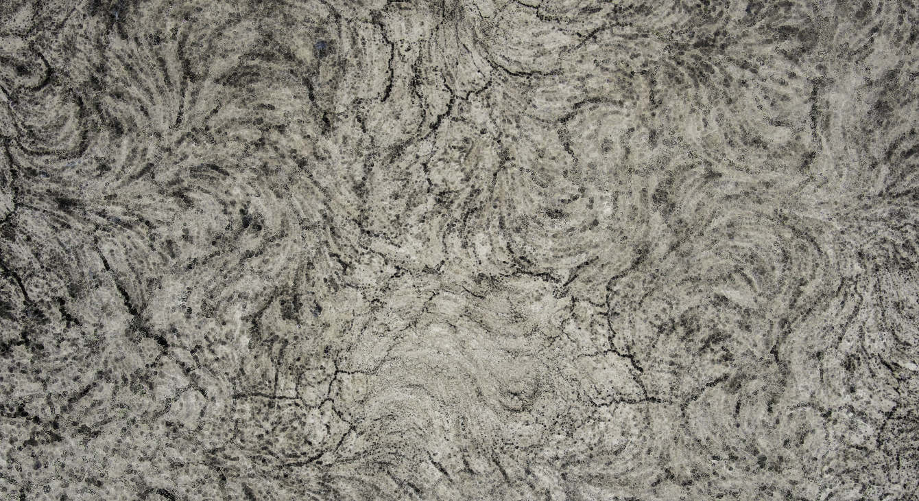 fracture - Sage Jenson