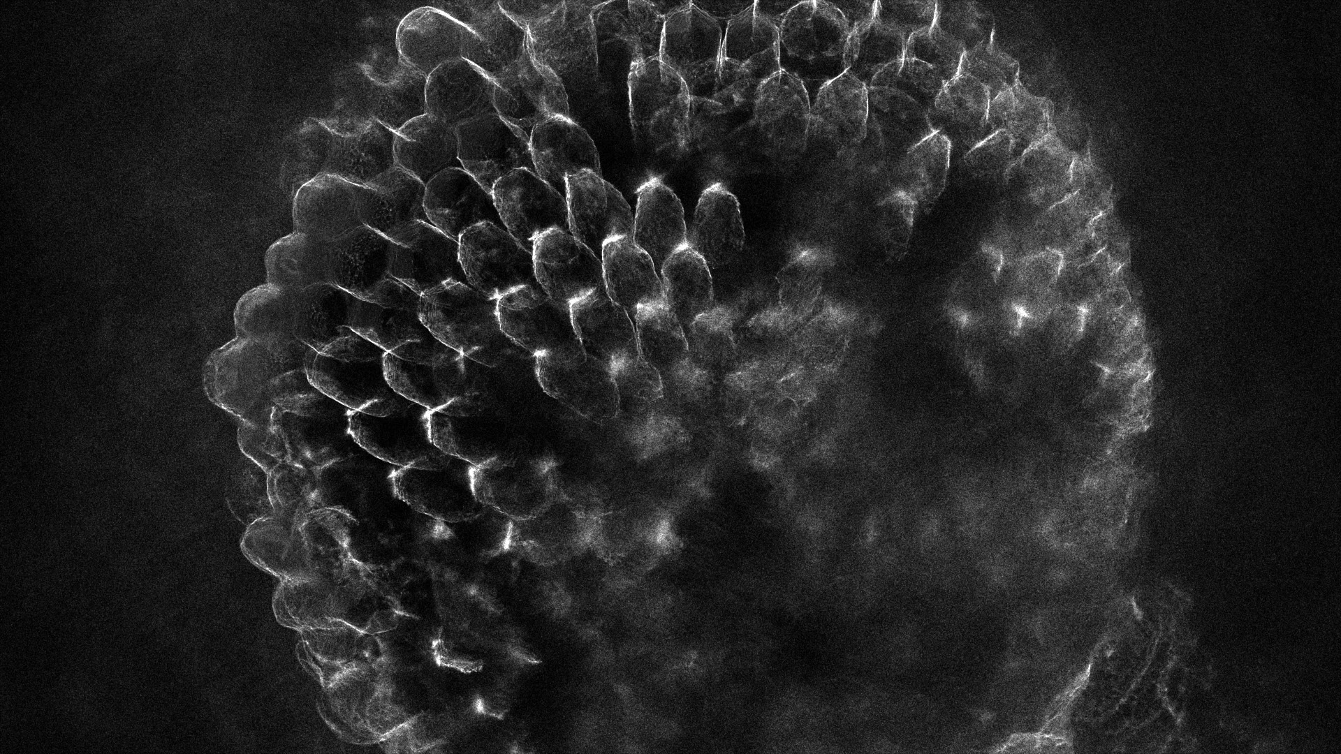 shadowbox: hive - Sage Jenson