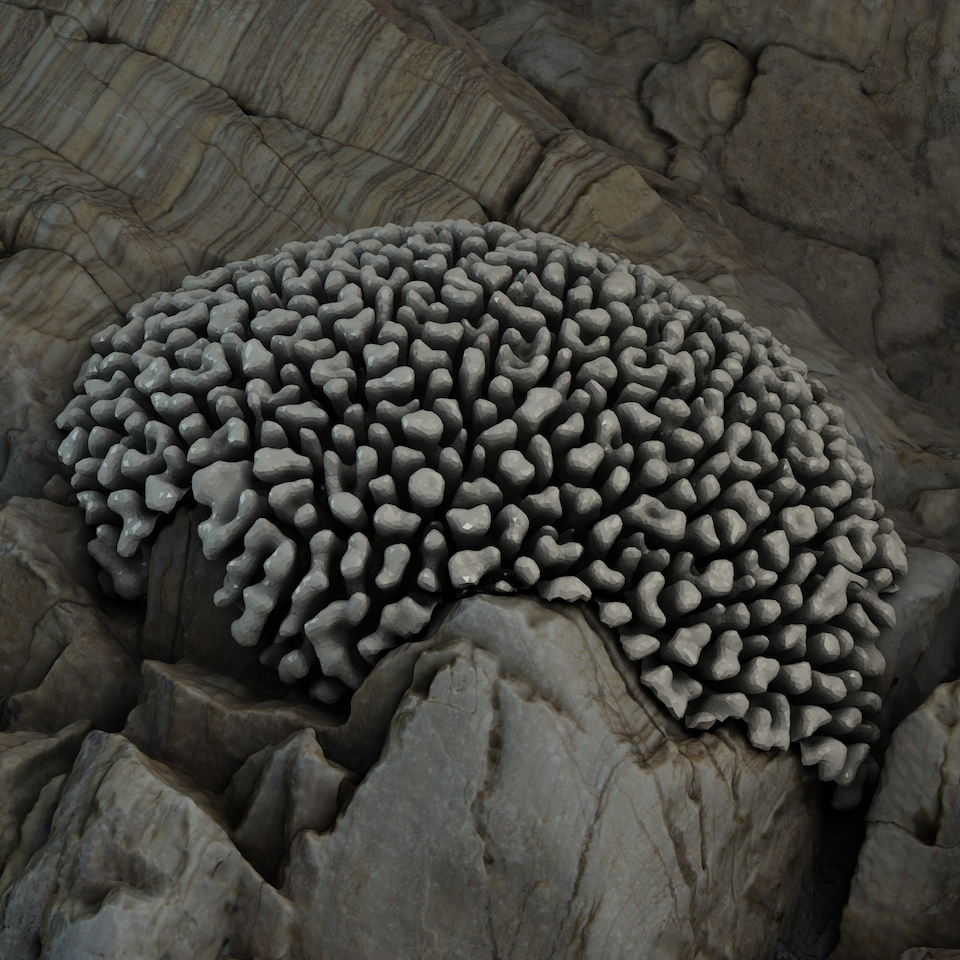 digital morphologies - Sage Jenson