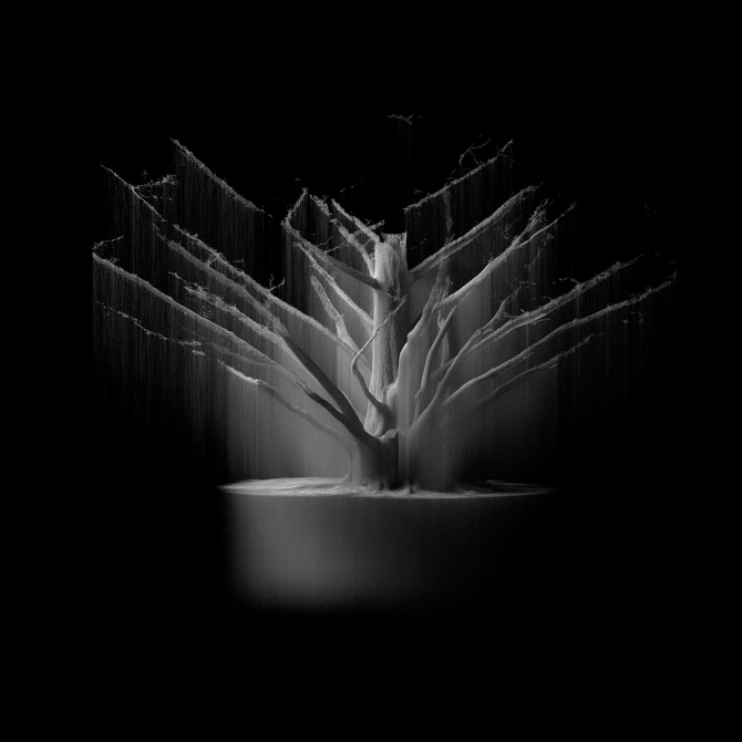the dissolve - Sage Jenson