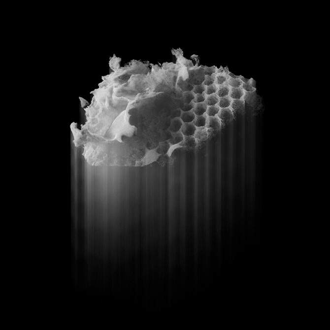 the dissolve - Sage Jenson