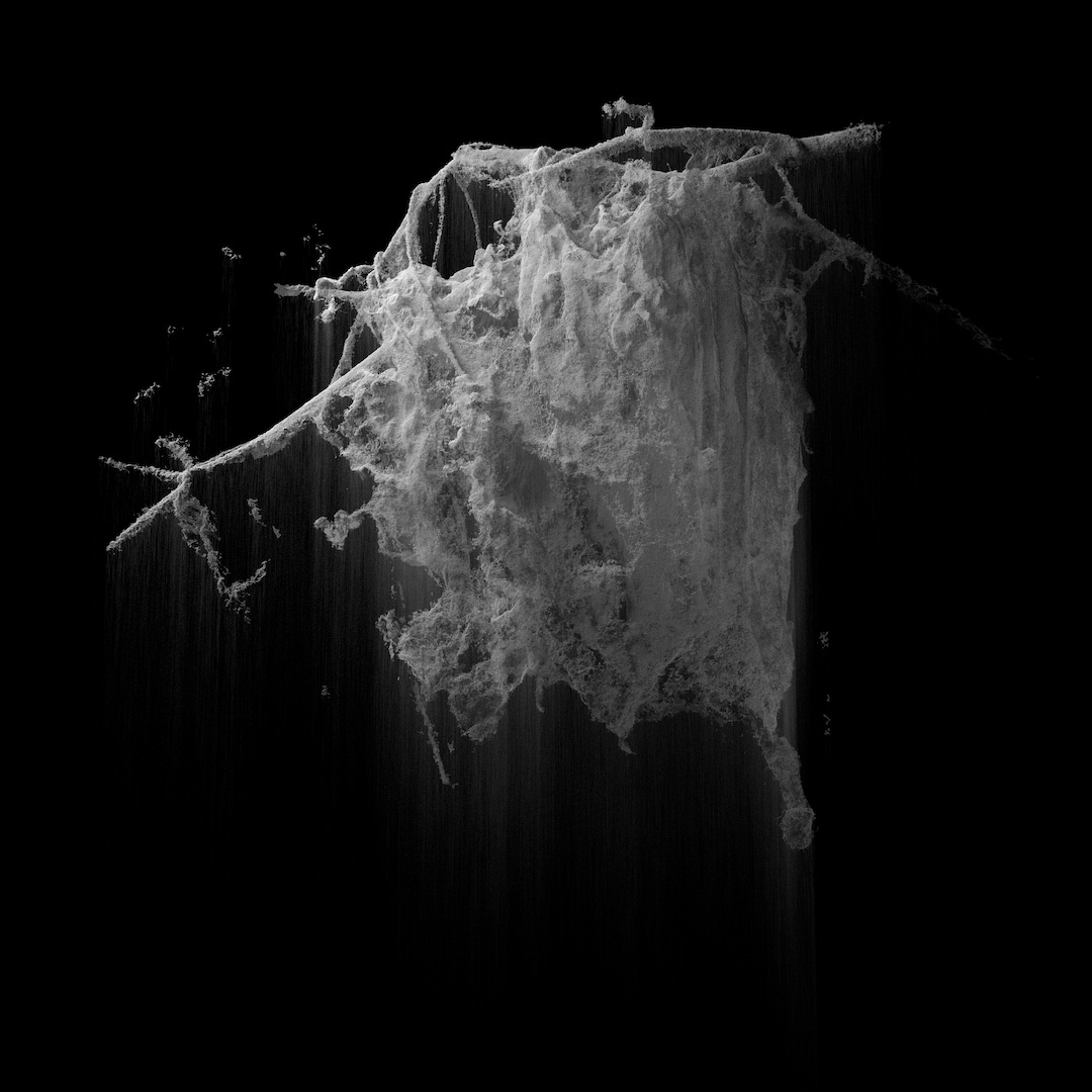the dissolve - Sage Jenson