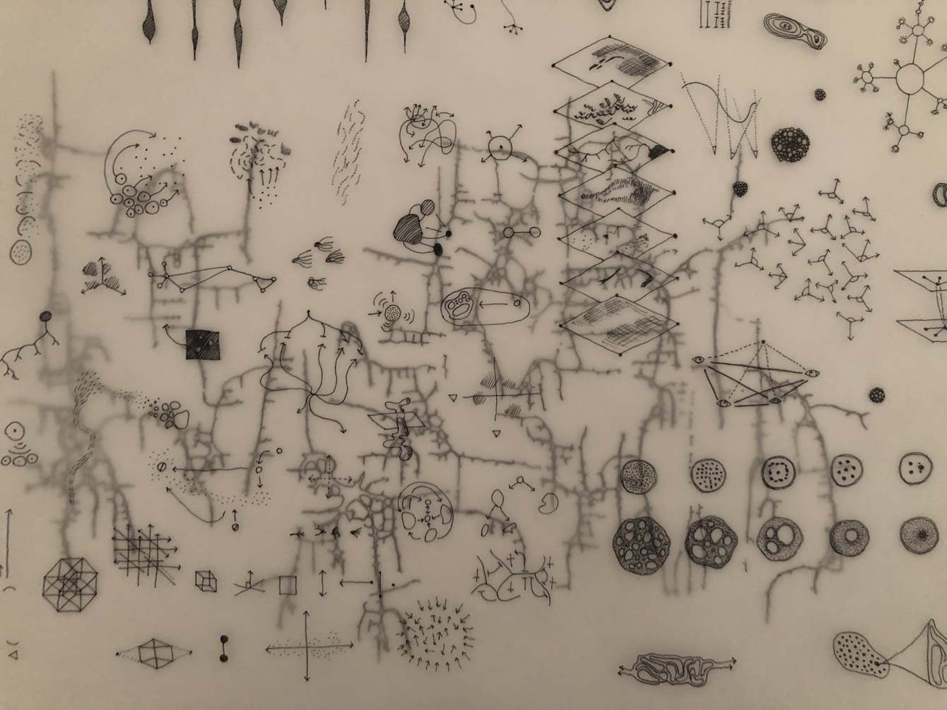 dismantling (2019) - Sage Jenson
