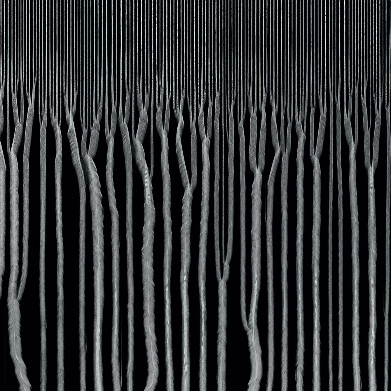 tapestries - Sage Jenson