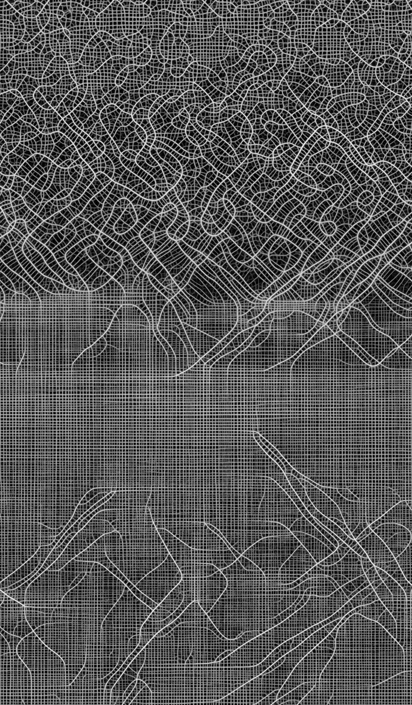 tapestries - Sage Jenson