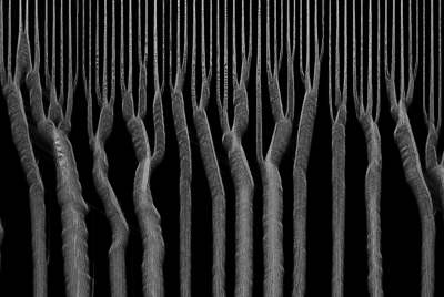 tapestries - Sage Jenson
