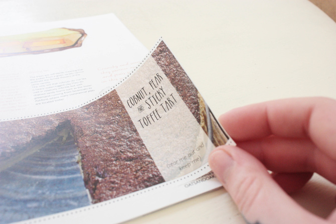 Oats & Oak - Jordane Ellis-Williams Portfolio