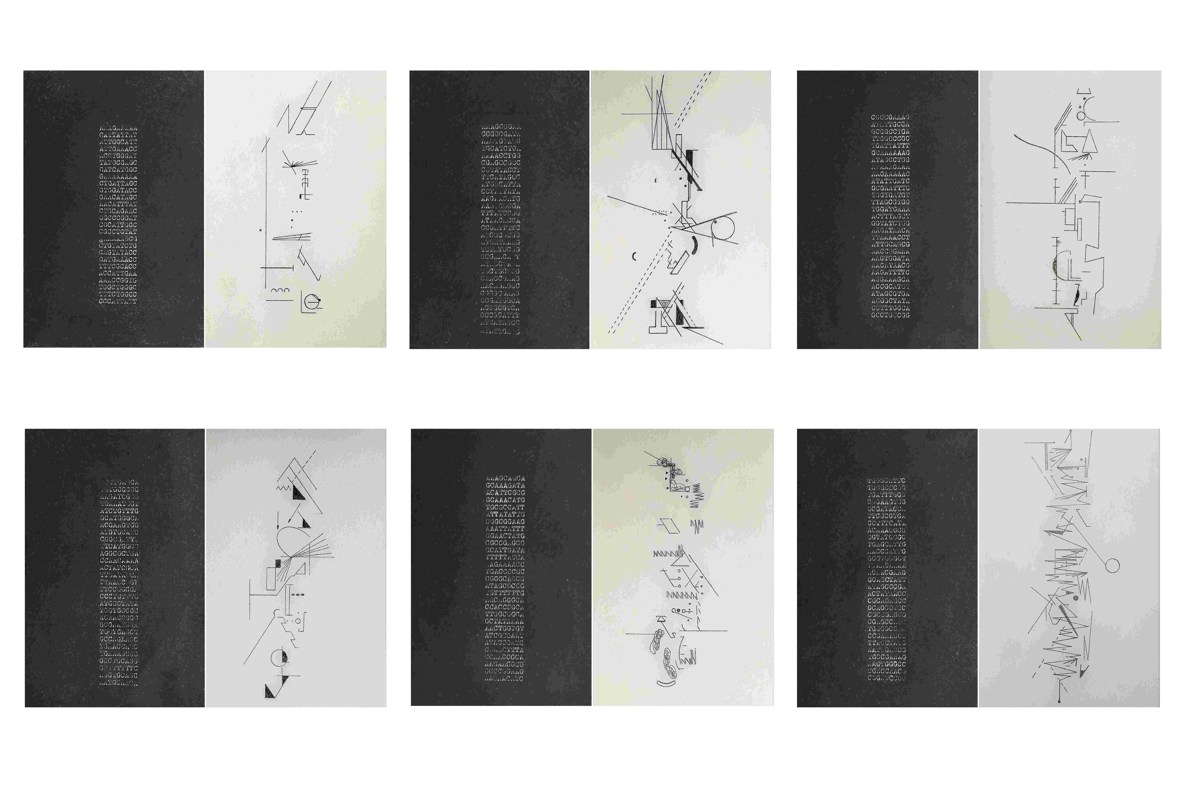 CODEX - Leonardo Blanc