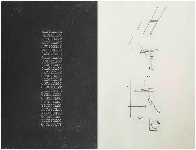 CODEX - Leonardo Blanc