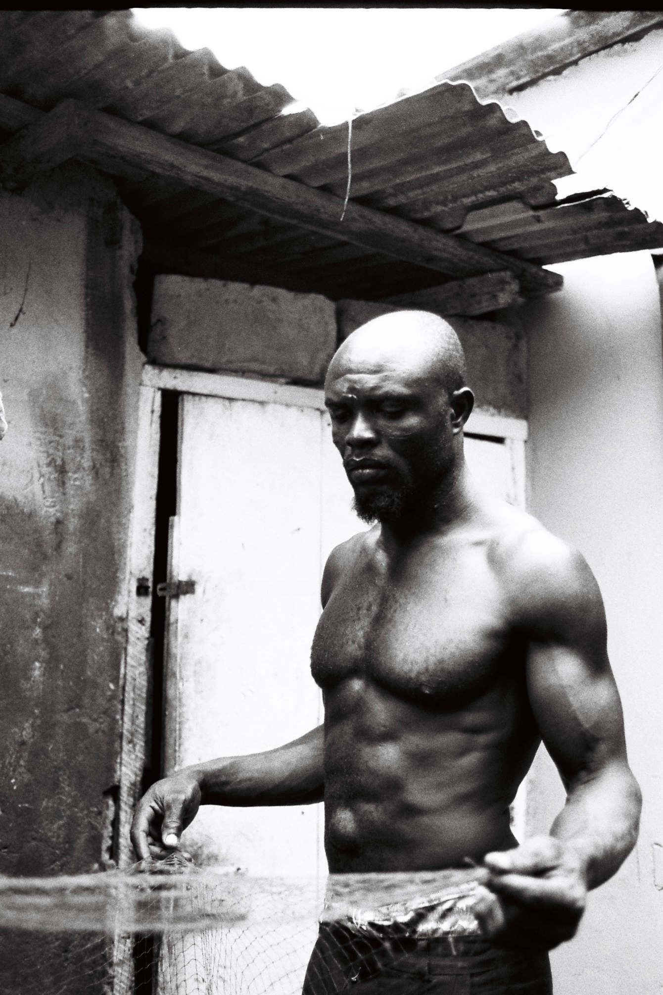Pride of Bukom - Alexis Rossi